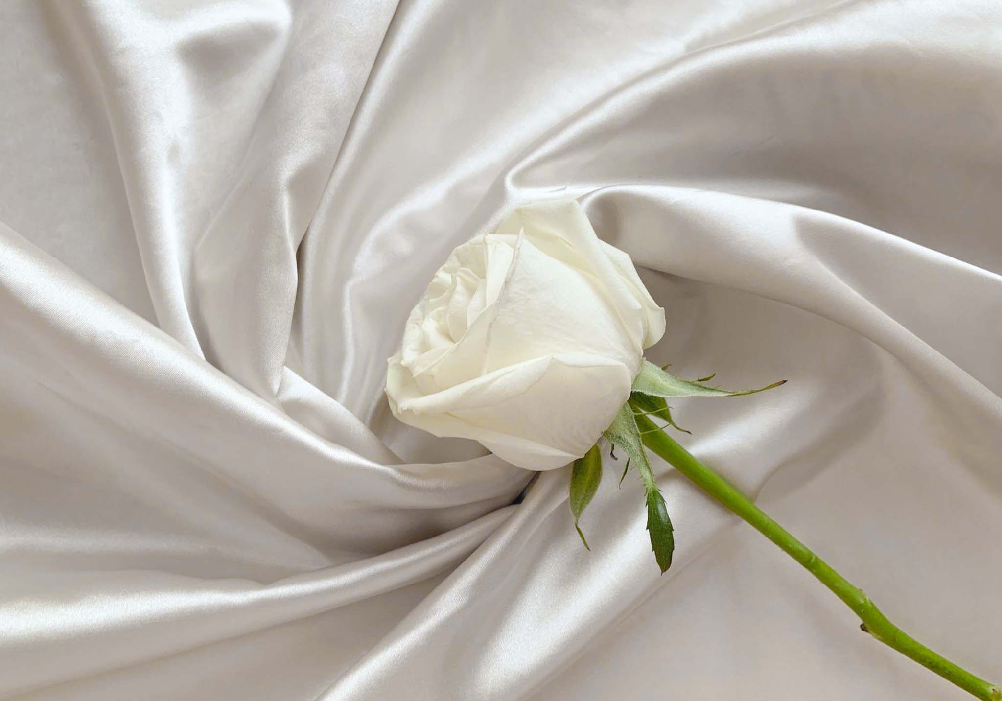 Ecoden® Silk Covers